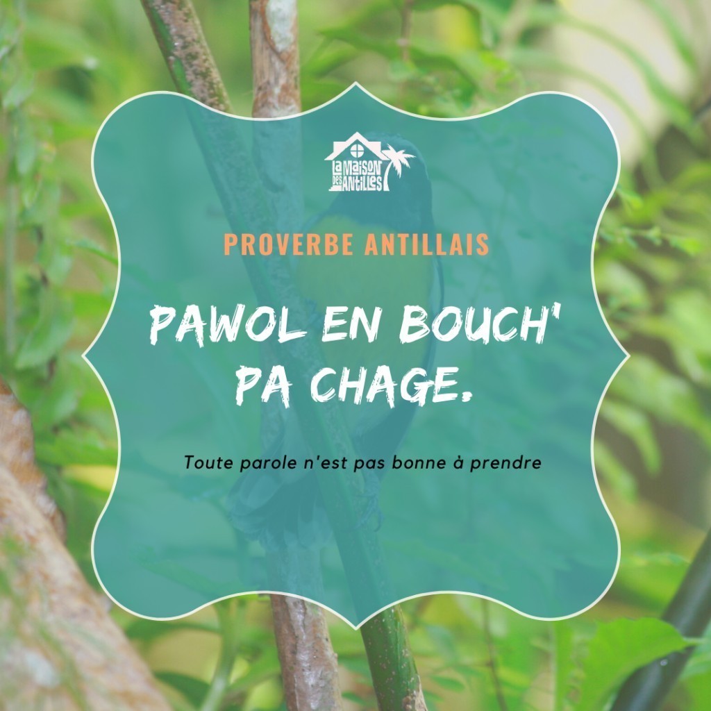 Liste des 20 proverbes antillais les plus populaires