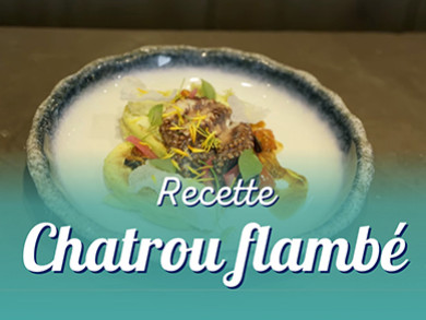 Chatrou flambé et son crémeux d'avocat